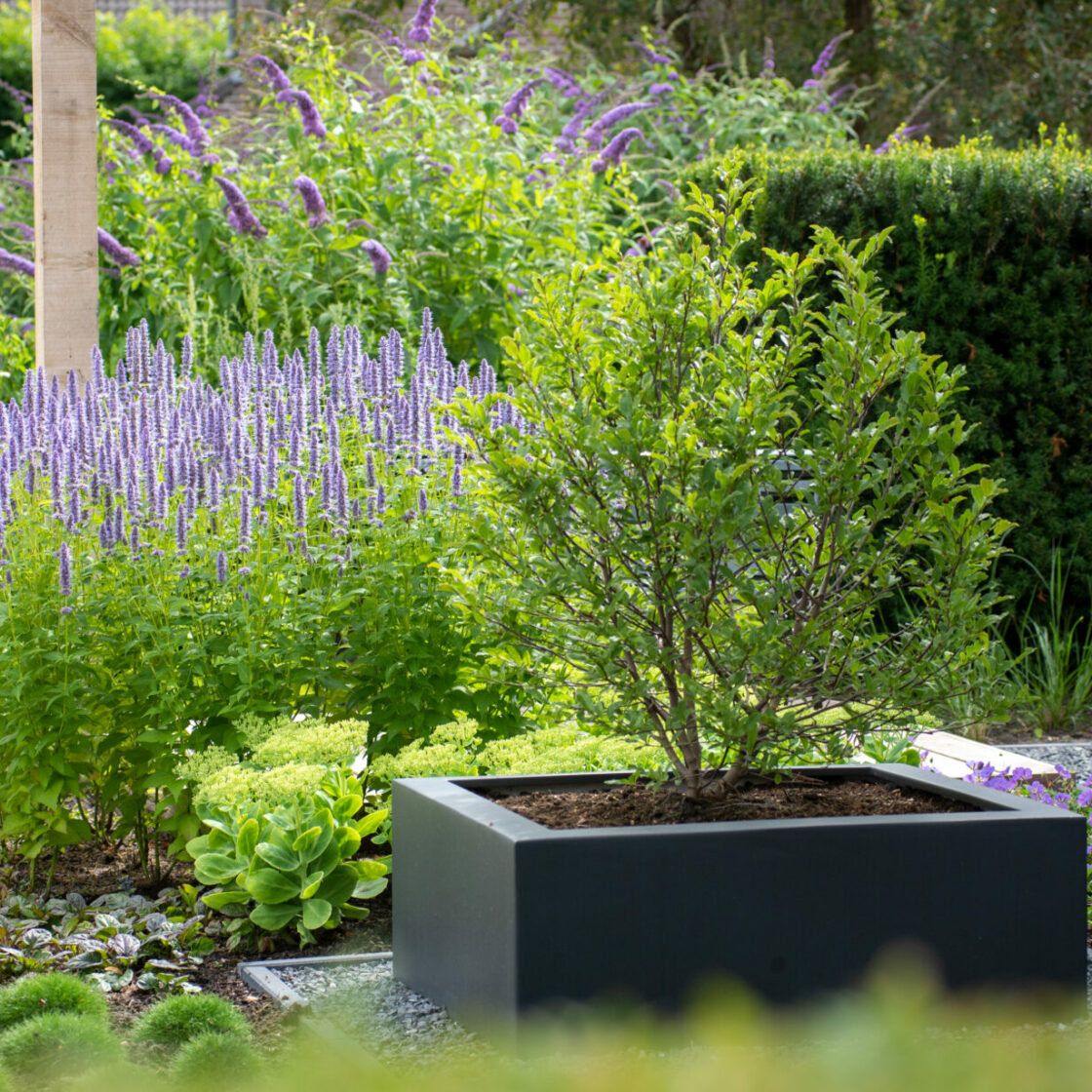 Strakke voortuin met zitplek - Edwin Melis Tuintechniek
